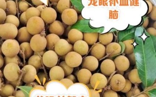 龙眼上火吗_龙眼一天吃多少合适