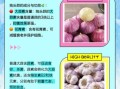独头蒜和大蒜的区别_哪个营养更高