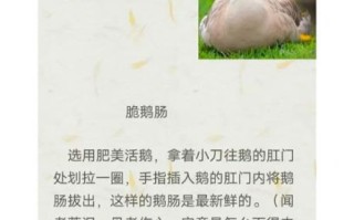 中国十大禁菜有哪些_为什么会被禁止
