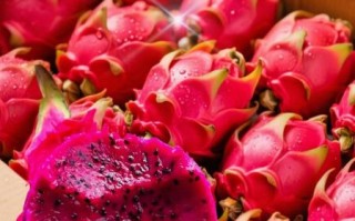 黄金火龙果的功效与作用_黄金火龙果怎么吃最营养