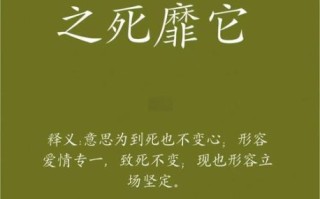 风靡一时是什么意思_风靡一时怎么造句