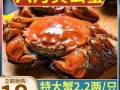 盘锦河蟹批发市场在哪里_盘锦河蟹批发价格多少钱一斤