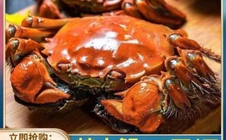 盘锦河蟹批发市场在哪里_盘锦河蟹批发价格多少钱一斤