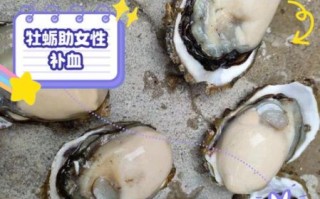 女人吃生蚝的好处_女人吃生蚝能补雌激素吗