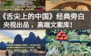 舌尖上的中国有哪些经典美食_舌尖上的中国拍摄手法揭秘