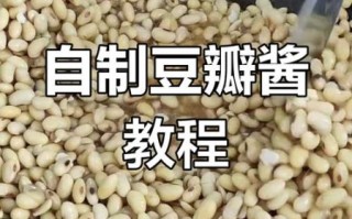 正宗豆瓣酱怎么做_家庭自制川味豆瓣酱详细步骤
