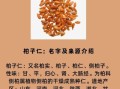 柏子仁的功效与作用_柏子仁主治什么病