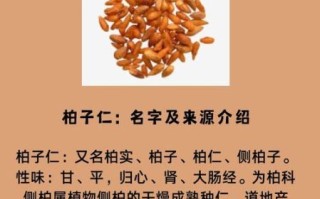 柏子仁的功效与作用_柏子仁主治什么病
