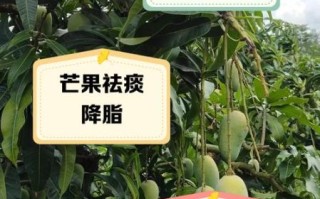 吃芒果的坏处有哪些_芒果吃多了会怎样