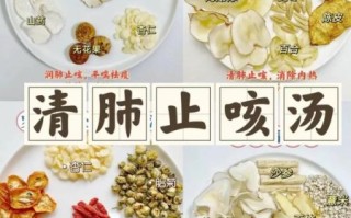 清肺化痰吃什么好_如何快速祛痰