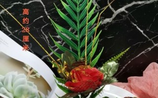 精美冷菜围边怎么摆_冷菜围边用什么材料