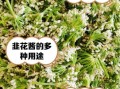 韭菜花酱怎么做_韭菜花酱的做法步骤