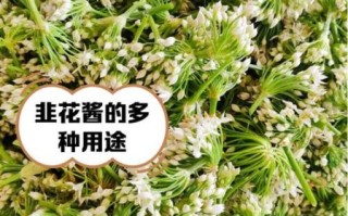 韭菜花酱怎么做_韭菜花酱的做法步骤