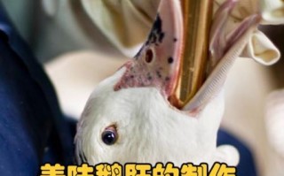 鹅肝为什么那么残忍_鹅肝制作过程真相