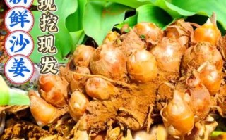 鲜沙姜图片_鲜沙姜怎么保存