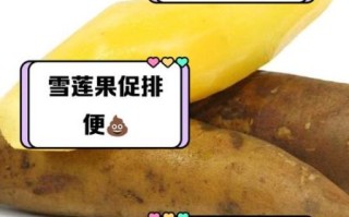 雪莲子怎么吃_雪莲子功效与作用禁忌