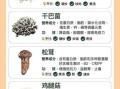 蘑菇的种类有多少种_常见可食用品种有哪些