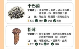 蘑菇的种类有多少种_常见可食用品种有哪些