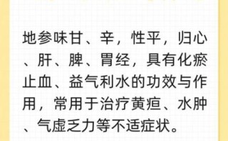 地参的功效与作用及食用方法_地参怎么吃效果最好