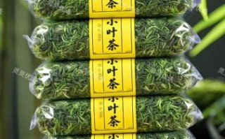 苦丁茶怎么泡_苦丁茶一次泡几根