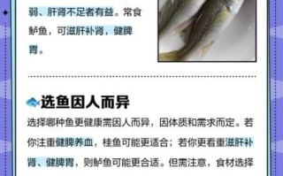 鲈鱼桂鱼哪个更营养_区别功效全解析