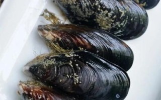 青口贝蒸多久才熟_青口贝蒸几分钟口感最佳