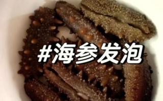 海参怎么泡发最好_海参泡发多久合适