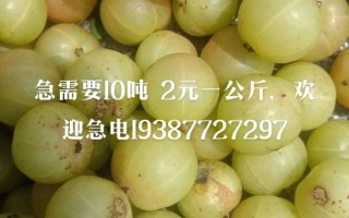 橄榄多少钱一斤_橄榄价格受哪些因素影响