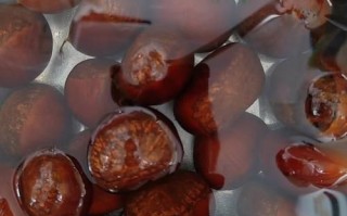 水煮板栗怎么做好吃_水煮板栗要不要提前泡水