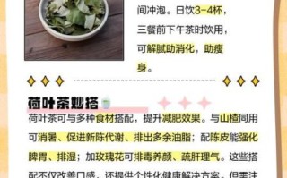 荷叶水喝多久能减肥_荷叶茶减肥正确喝法