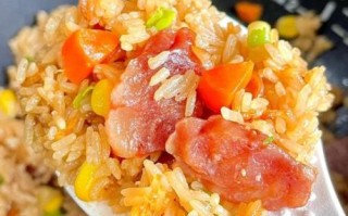 懒人电饭煲100例怎么做_懒人电饭煲100例适合新手吗