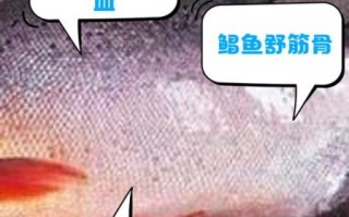 红鲳鱼的营养价值及功效_红鲳鱼适合什么人吃