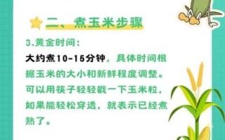 煮玉米要多久才熟_怎样煮玉米才好吃