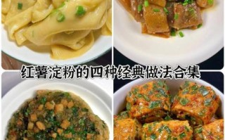 红薯粉末怎么做_红薯粉末家常做法大全