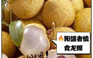 桂圆上火吗_一天吃几个合适