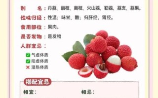 荔枝的功效与作用_吃荔枝会上火吗