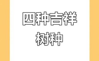 四大镇宅之树有哪些_镇宅树怎么选