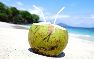 椰子图片怎么拍好看_椰子图片高清素材去哪找