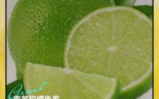 青柠檬和黄柠檬的区别_哪个更适合泡水