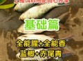 钓鲮鱼用什么饵料最好_鲮鱼饵料配方比例