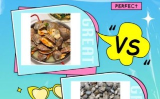 白蚬子和花蛤的区别_哪个更鲜美