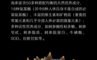 吃海参有什么用_海参的功效与作用