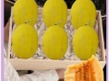 黄金瓜是蔬菜还是水果_黄金瓜属于哪一类