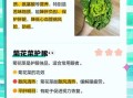 菊花菜什么人不能吃_孕妇能吃菊花菜吗