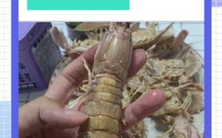 皮皮虾需要处理吗_怎么清洗才干净