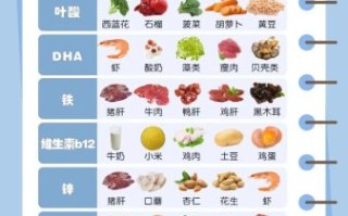 小孩子补脑吃什么_提高智力吃什么