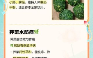 荠菜泡水喝的功效与作用_荠菜泡水喝的禁忌