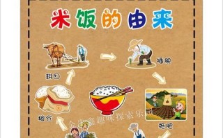 食物营养金字塔怎么吃_每日摄入量是多少 食物营养金字塔怎么吃_每日摄入量是多少