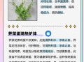 荠菜花煮鸡蛋什么时候吃_荠菜花煮鸡蛋的正确时间