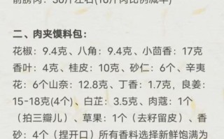 肉夹馍怎么做才正宗_肉夹馍的配方比例是多少